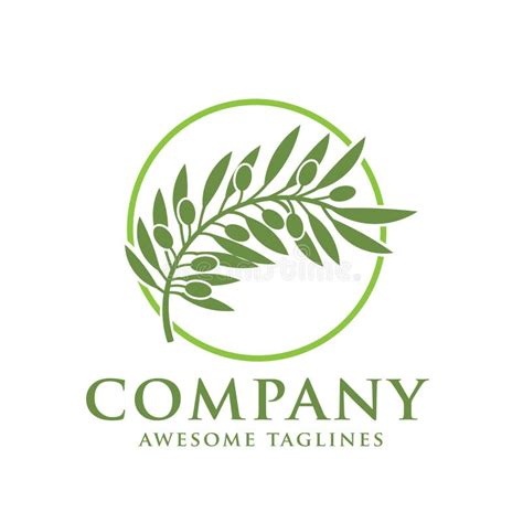 Green Olives On Branch Vector Stock Vector Illustration Of Cooking