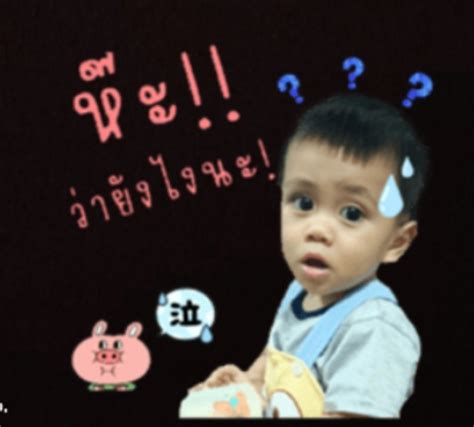 สติ๊กเกอร์ Line รูปถ่ายตัวเอง ลูก คนรัก ฯลฯ