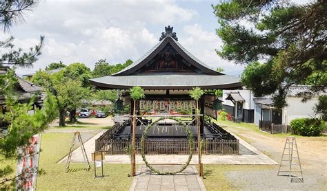 新日吉神宮夏越の大祓の茅の輪づくりに取り組みました トピックス 京都美術工芸大学