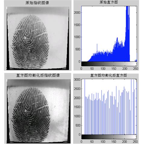 【老生谈算法】基于matlab指纹识别系统设计与算法原理详解（论文程序源码）——指纹识别声音指纹技术 Matlab Csdn博客