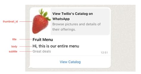 Twiliocatalog Twilio