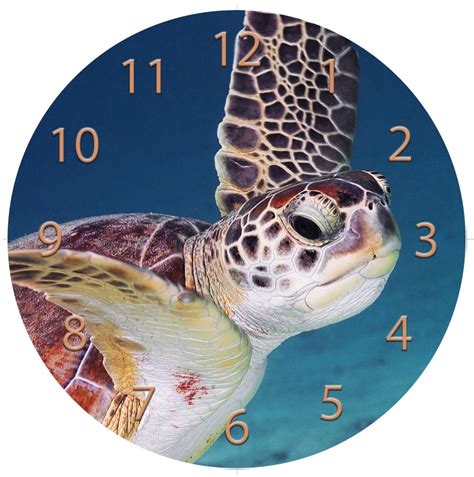 Turtle Face 12 Inch Glass Clock Ocean Visits Ts