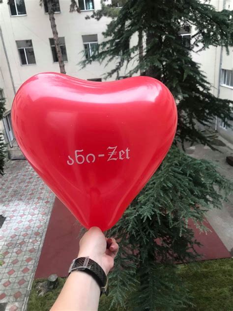 მე მიყვარს სკოლა ანი Zet Tbilisi