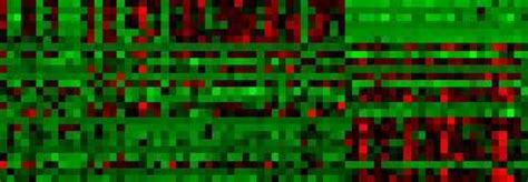 Assembly Comparison Tool Download Scientific Diagram