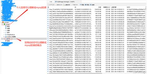 Python操作mongo Gridfspython Mongo Gridfs Csdn博客