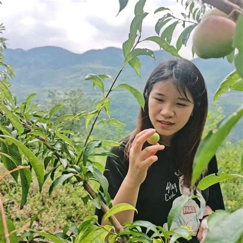 与李有约来一场酸酸甜甜的邂逅 李子 高镇 竹园村