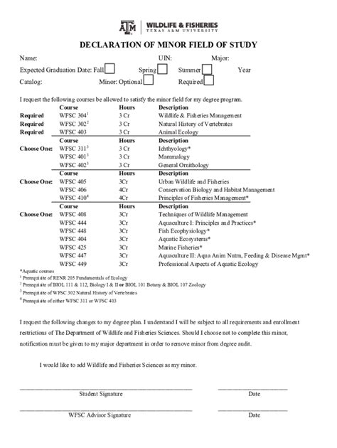 Form Declaration Of Minorform Declaration Of Minor Syracuse