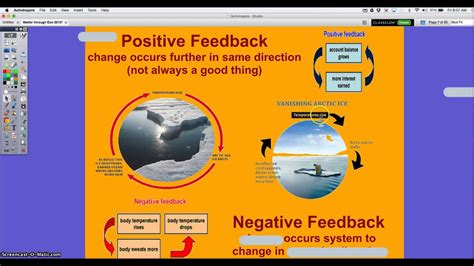 Negative Feedback Loop Examples Environment