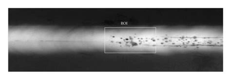 Weld Defect Detection With The Proposed Active Contour A The Whole Download Scientific