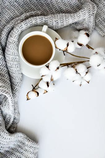 면 식물 계피 스틱과 흰색 배경에 아니스 스타 커피 한 잔 스웨터 주위에 겨울 아침 루틴 커피 휴식 공간을 복사합니다 맨 위