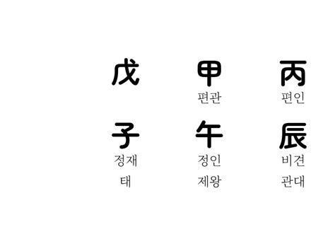 함소원 사주 타로혼몰