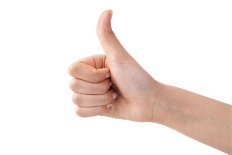 Like Traductor de inglés a español inglés