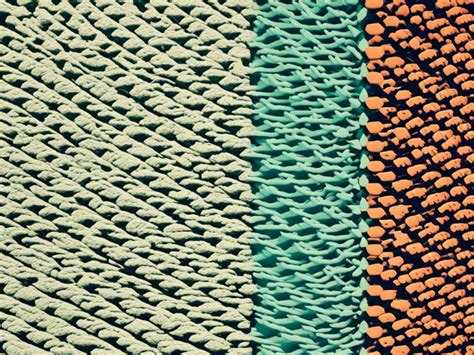 Estructuras De Control En Javascript Condicionales