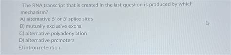 Solved The RNA Transcript That Is Created In The Last Chegg Com