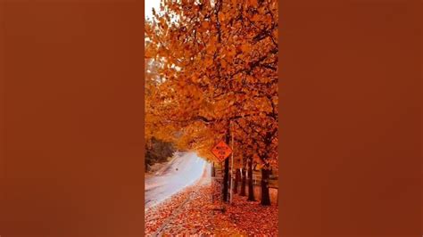 artificialintelligence youtube