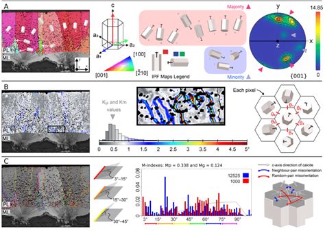 Examples Of Ebsd Maps And Their Interpretation A Inverse Pole