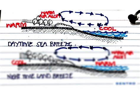 SOLUTION Principles Of Airflow On Buildings And Structures Studypool