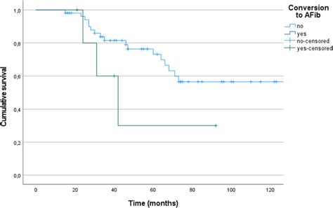 Kaplanmeier Plots Censored Data For Survival Of Patients With Download Scientific