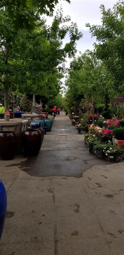 Moon Valley Nurseries Las Vegas 42★ Reviews And Hours