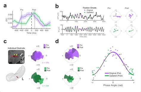 Distinct Phases Of Theta Phase Are Associated With Retrieval And