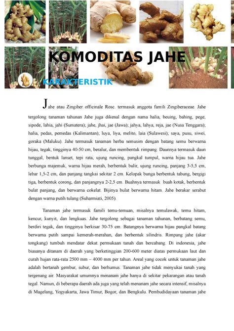 Jahe Jahe Komoditas Jahe Karakteristik Jahe Atau Zingiber