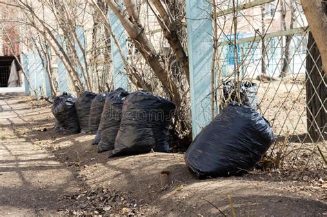 Black Plastic Garbage Bags Stock Image Image Of Industrial 246321025