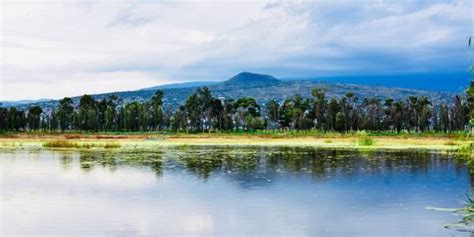 Rectilinear Motion Detailed Explanation With Examples