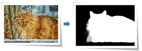 Building 4 Applications Using Real Time Selfie Segmentation In Python