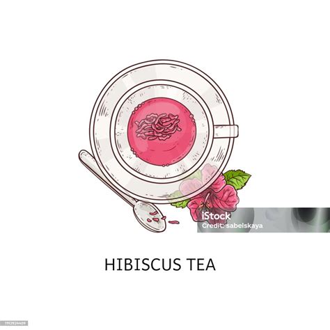 히비스커스 차 유리 컵 내부에 떠있는 마른 꽃잎이있는 예쁜 핑크 음료 로젤 식물에 대한 스톡 벡터 아트 및 기타 이미지 로젤 식물 차 뜨거운 음료 0명 Istock