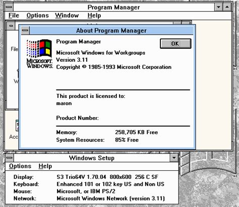 dosbox x crashes while starting windows for workgroups 3 11 with the built in svga driver