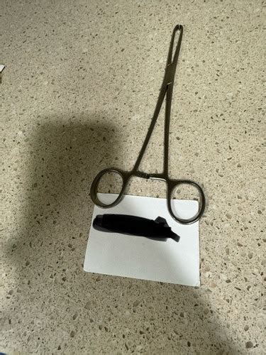 CSP Flashcards Flashcards Quizlet CSP Flashcards Flashcards Quizlet