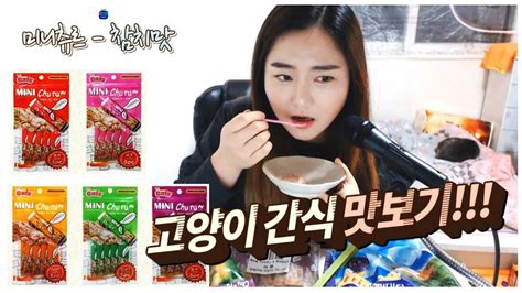 BJ쇼킹 고양이간식맛보기 미니츄르 참치맛 YouTube