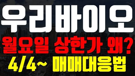 우리바이오 주가전망 월요일 상한가 왜 꼭 보셔야 합니다 우리바이오전망 우리바이오주가 우리바이오주식전망 Youtube