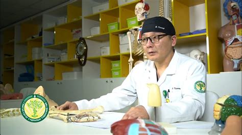 ХҮҮХДИЙН ТОХОЙН ҮЕНИЙ МУЛТРАЛ ҮҮСЭХ ШАЛТГААН БОЛОН УРЬДЧИЛАН СЭРГИЙЛЭХ