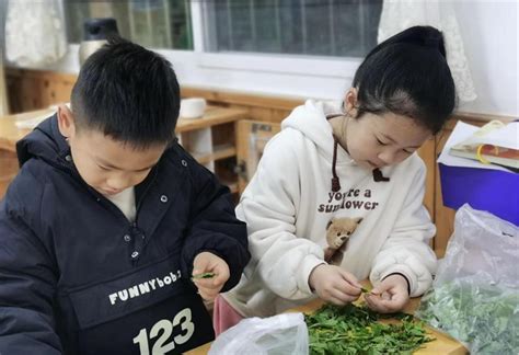 濉溪县城关中心幼儿园开展萌娃乐养蚕 劳动助成长活动 淮北市教育局