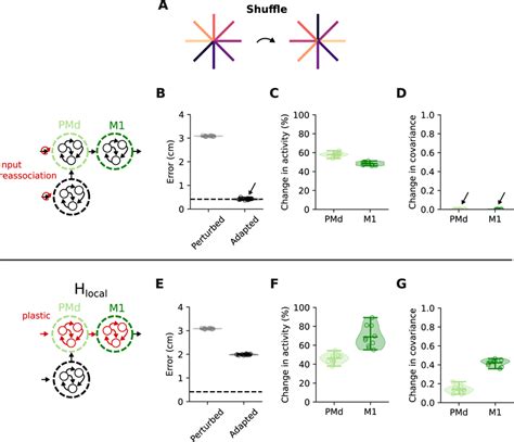 A Visuomotor Reassociation Task Can Clearly Differentiate Between