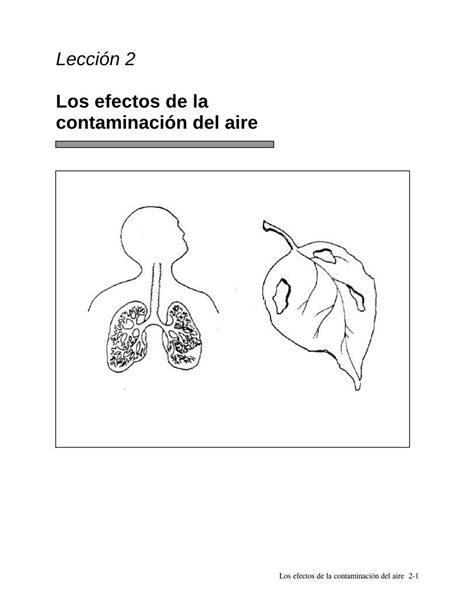 Pdf Lección 2 Los Efectos De La Contaminación Del Aire · Los Efectos