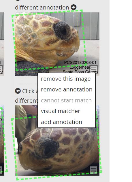Cannot Start Match Greyed Out Support Wild Me Community Forums