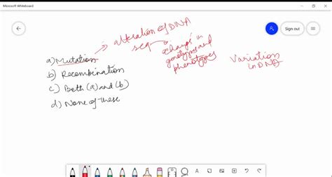 Solved Las Mutaciones O Alteraciones En El Código Genético Son Ejemplo