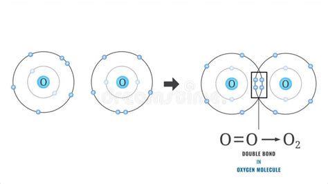 Oxygen Molecule Has A Double Covalent Bond Sharing Two Pairs Of Electrons Between Atoms Stock