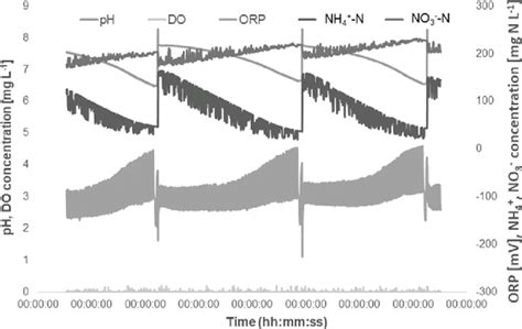 Analysis Of A Deammonification Process In The Sbr During Three Cycles