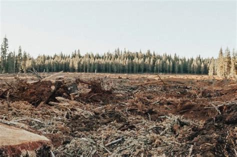 Natural Resources Definition And Significance Glossary