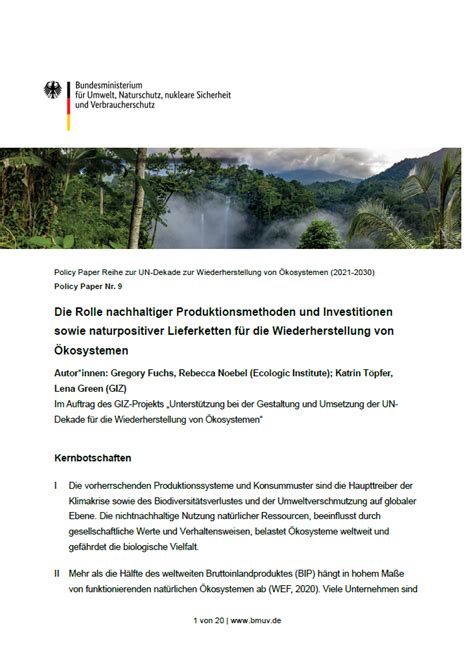 Policy Brief Ecologic Institute
