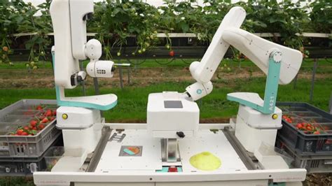 60 Robot Picker Stock Videos Footage And 4k Video Clips Getty Images