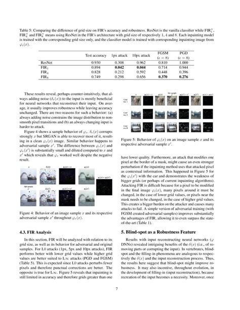 Perceptual Deep Neural Networks Adversarial Robustness Through Input
