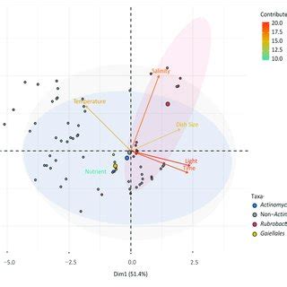Principal Component Analysis PCA Illustrating The Relationship