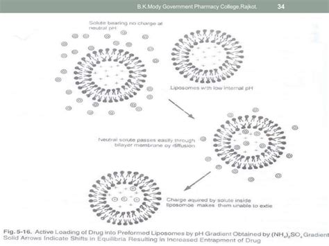 Vesicular Drug Delivery System Pptx Pharmaceutical Drugs Medical
