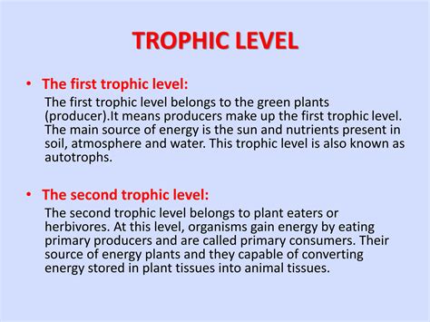 Solution Function Of An Ecosystem Studypool