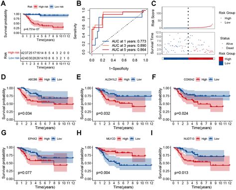 Identification Of Mitochondrial Related Signature And Molecular Subtype