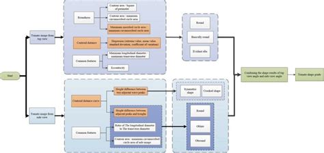 Flow Chart Of Fruit Shape Detection Download Scientific Diagram